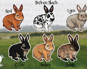 Flemish Giant Rabbit Silhouette Sticker Vinyl Bunny Decal - Etsy