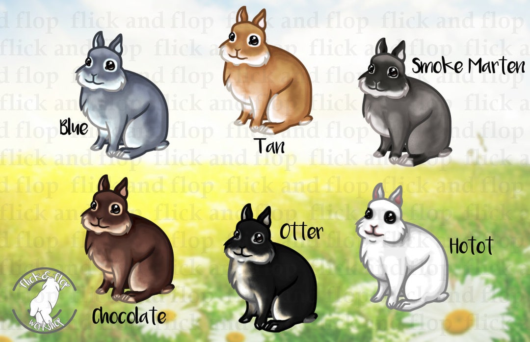 Dwarf Bunny Rabbit Vinyl Decal | Car Decal | Laptop Decal |window Decal ...