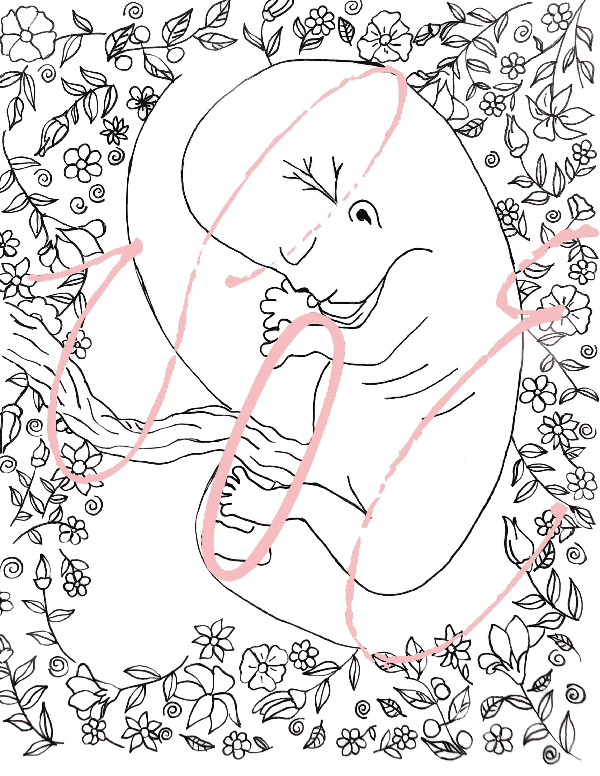 Gestation and Pregnancy Development Coloring Page Pack | Etsy