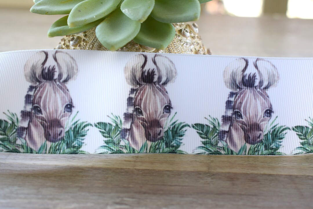 Zebra Animal Safari Ribbon, Boy Baby Safari Ribbon, Safari Jungle Zebra ...