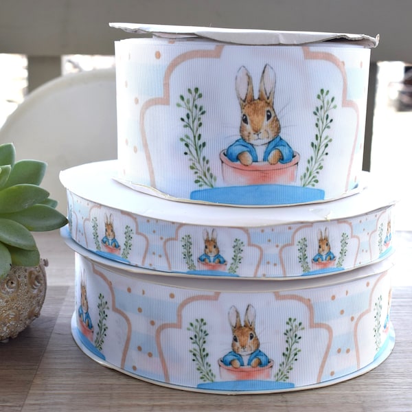 Peter Rabbit Party - Etsy