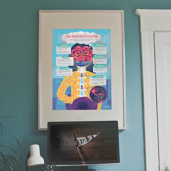Nervous System Poster Kids - Etsy