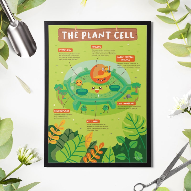 Plant Cell - Etsy