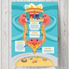 Circulatory System Classroom Science Poster Art Print: Art in Heart ...