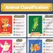Animal Classification Classroom Science Poster Print: the Card Game ...
