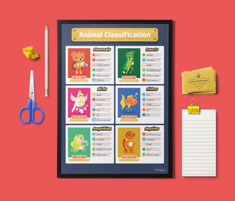 Animal Classification Classroom Science Poster Print: the Card Game ...