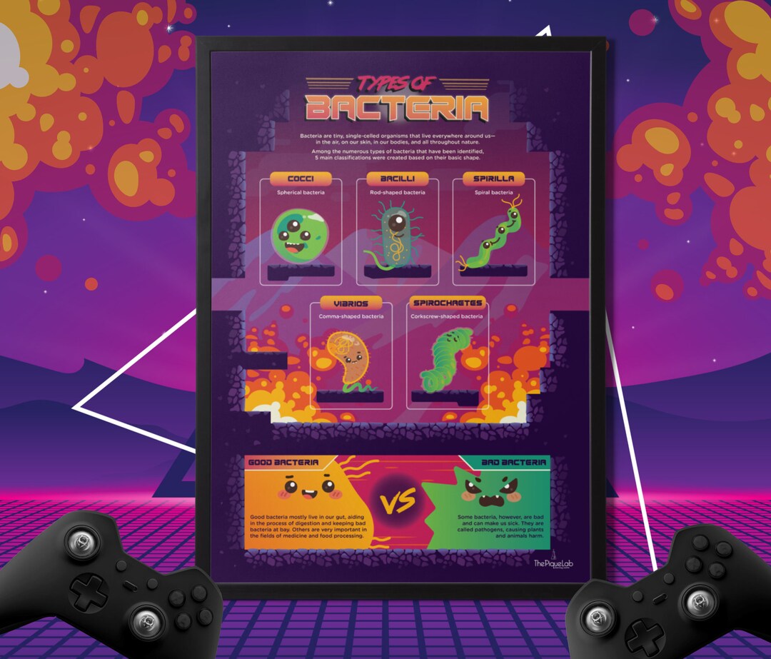 Types of Bacteria Classroom Science Poster Art Print: the Battle of ...
