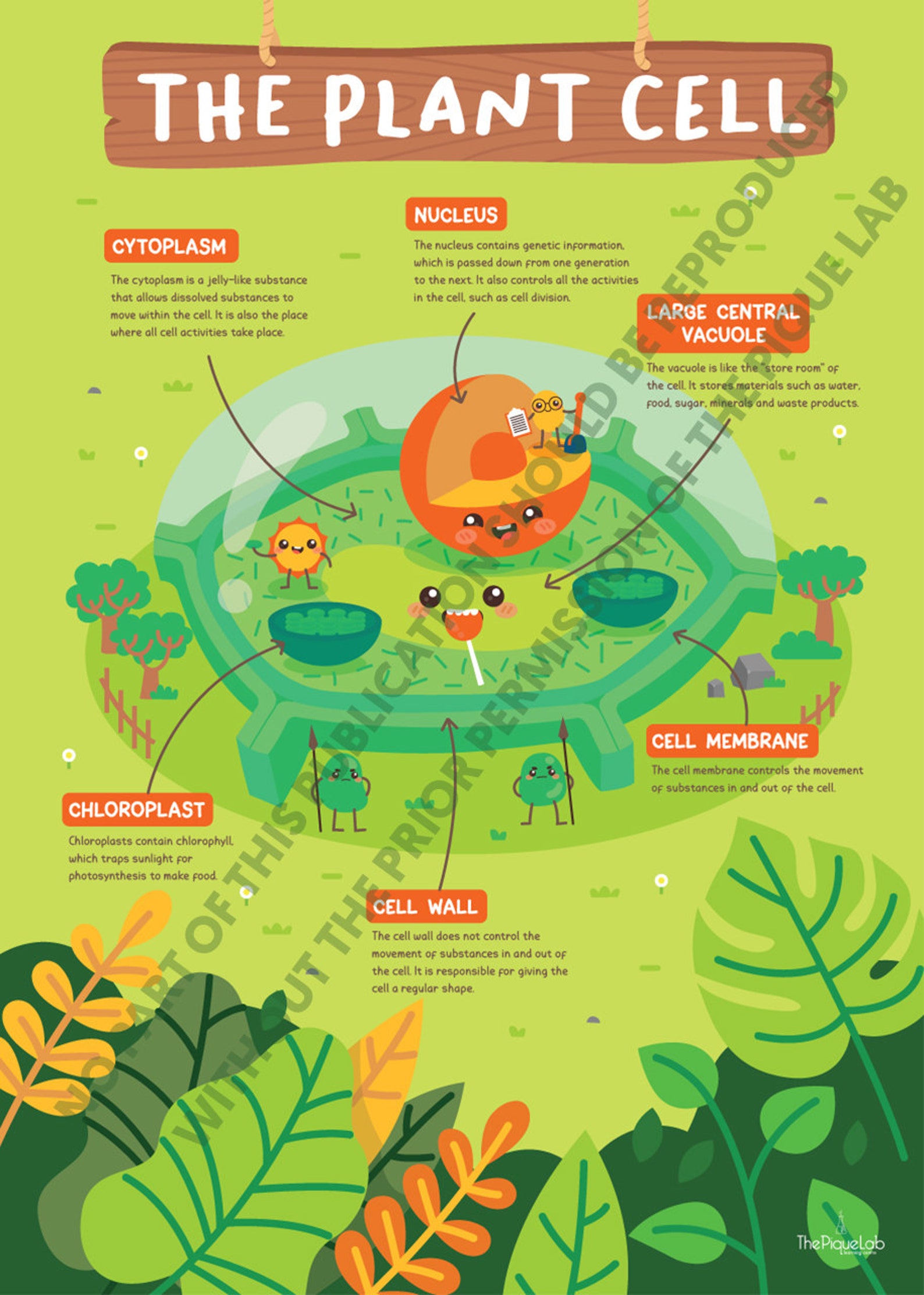 Plant Cell Classroom Science Poster Art Print: What’s Behind That Wall ...