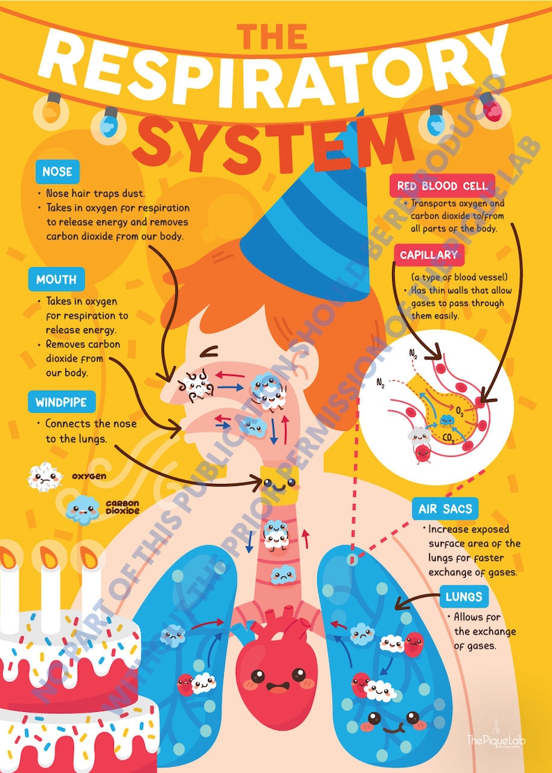 Respiratory System Classroom Science Poster Art Print: Party in a ...