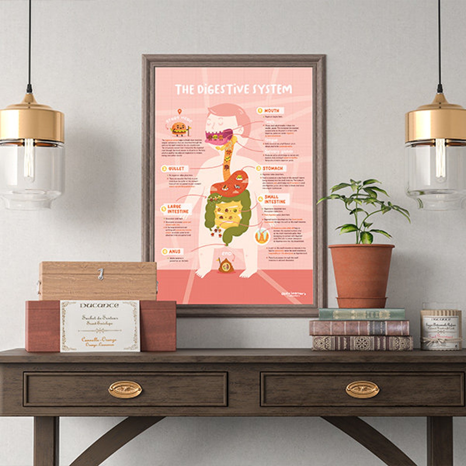 All Six Body Systems Classroom Science Art Prints BUNDLE DEAL good for ...