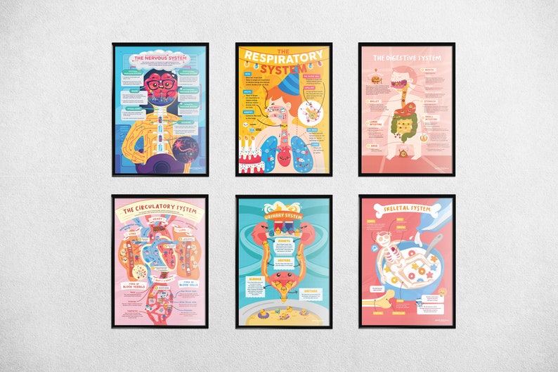 All Six Body Systems Classroom Science Art Prints BUNDLE DEAL (good for ...