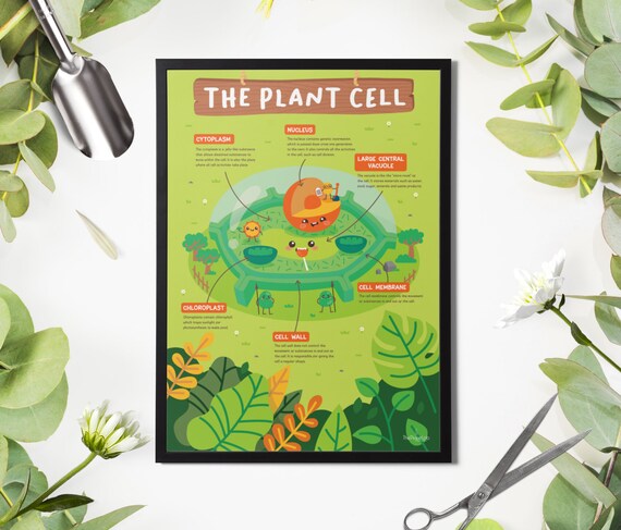 Plant Cell Classroom Science Poster Art Print: Whats Behind | Etsy