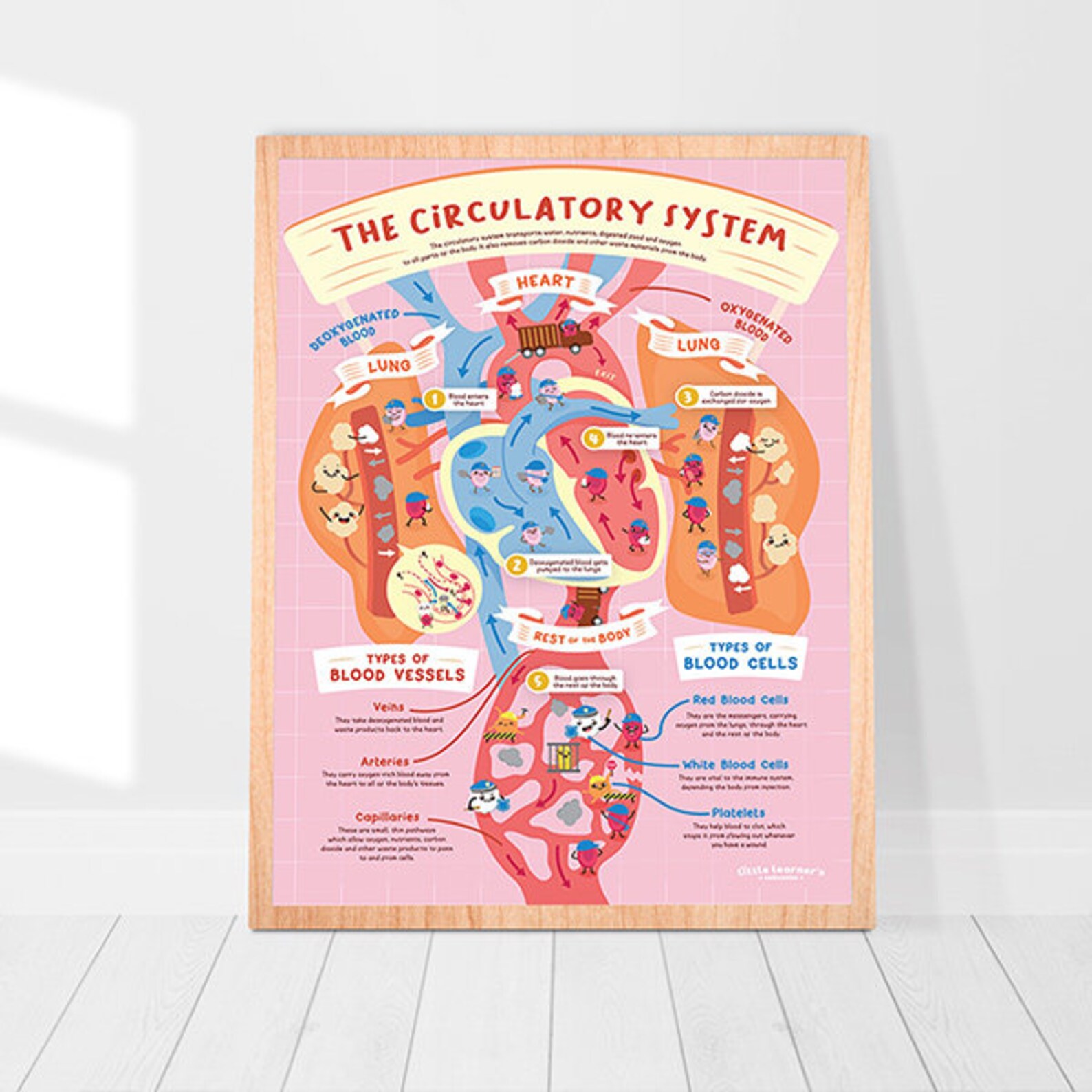 All Six Body Systems Classroom Science Art Prints BUNDLE DEAL (good for ...