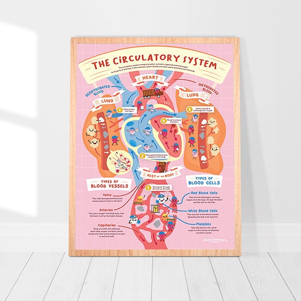 All Six Body Systems Classroom Science Art Prints BUNDLE DEAL good for ...