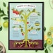 Plant Anatomy Classroom Science Poster Art Print: From Leaves to Roots ...