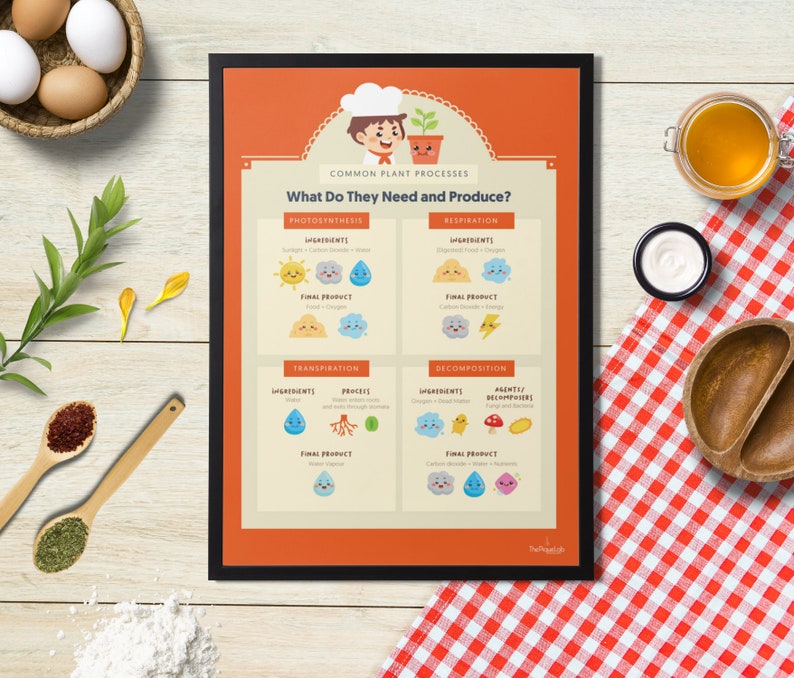 4 Life Processes Classroom Science Poster Art Print (good for Classroom ...