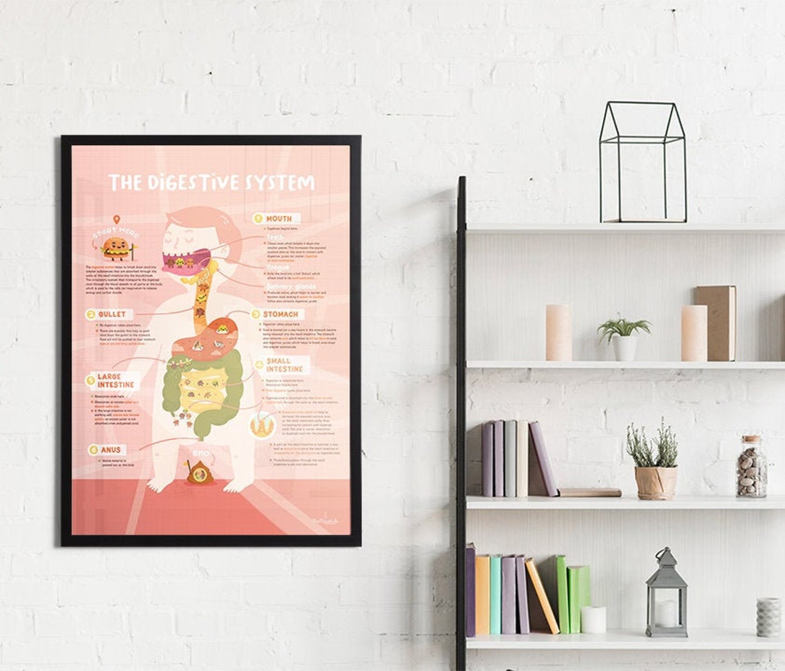 Digestive System Classroom Science Poster Art Print: Churning Factories ...