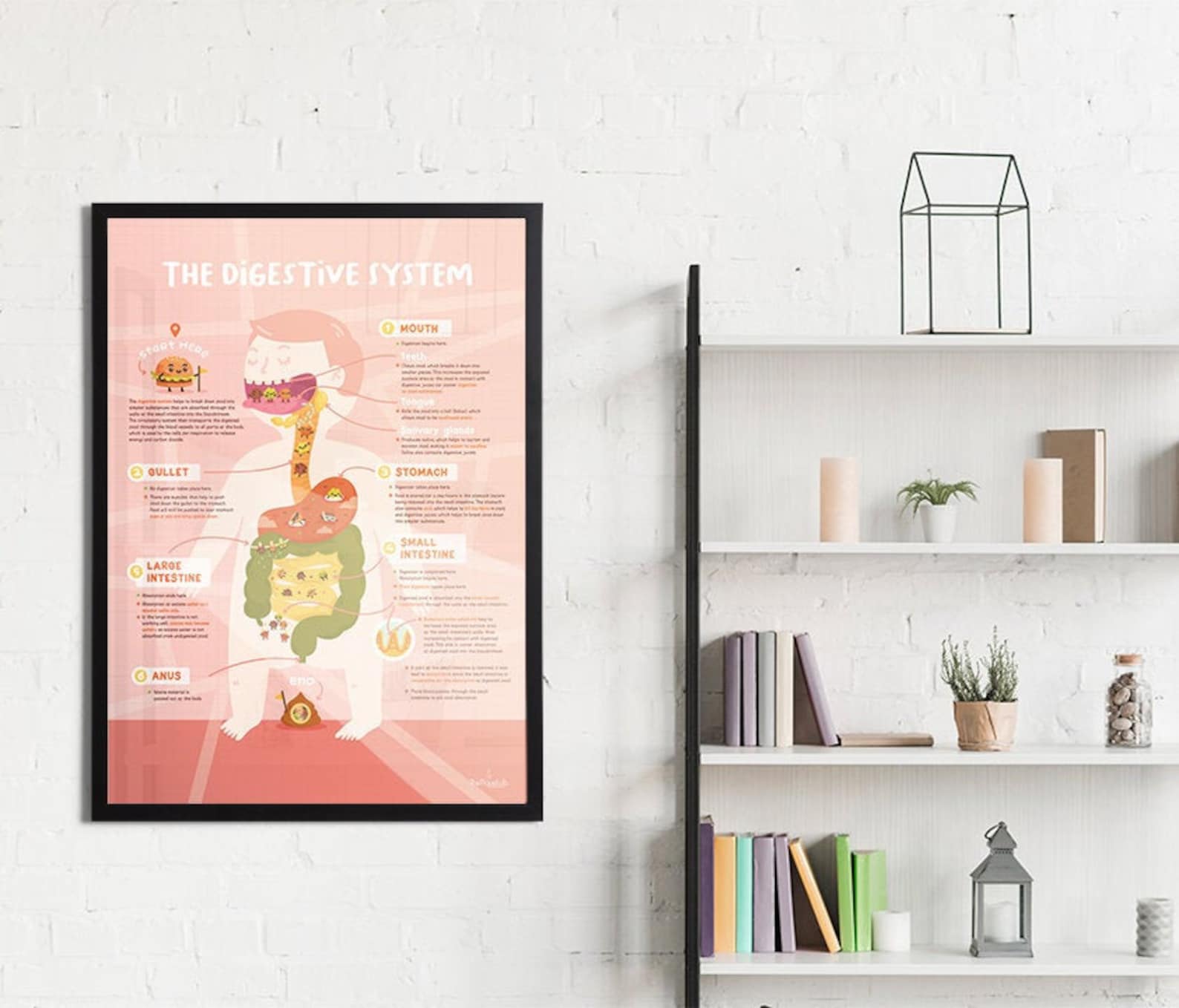 Digestive System Classroom Science Poster Art Print: Churning Factories ...