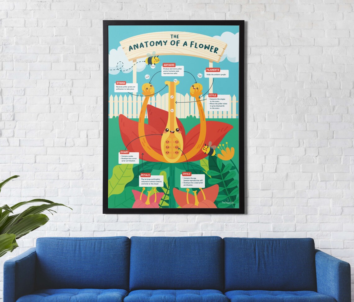 Anatomy of a Flower Classroom Science Poster Art Print: A Closer Look ...
