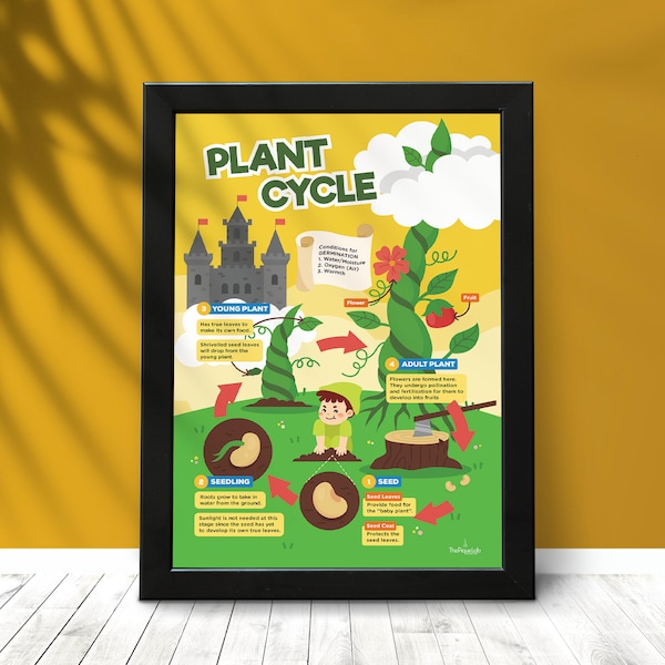 Jack and the Beanstalk Plant - Etsy