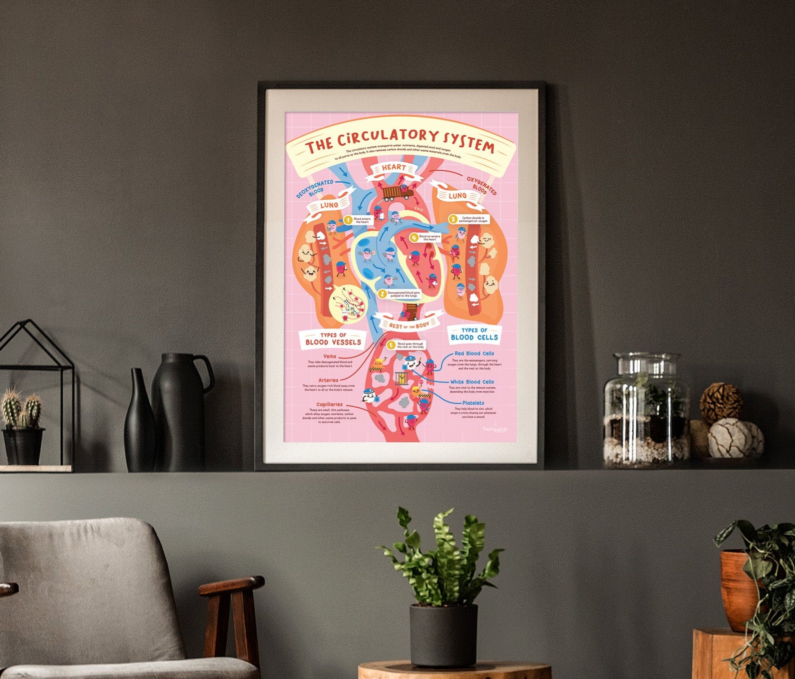 Circulatory System Classroom Science Poster Art Print: Art in Heart ...