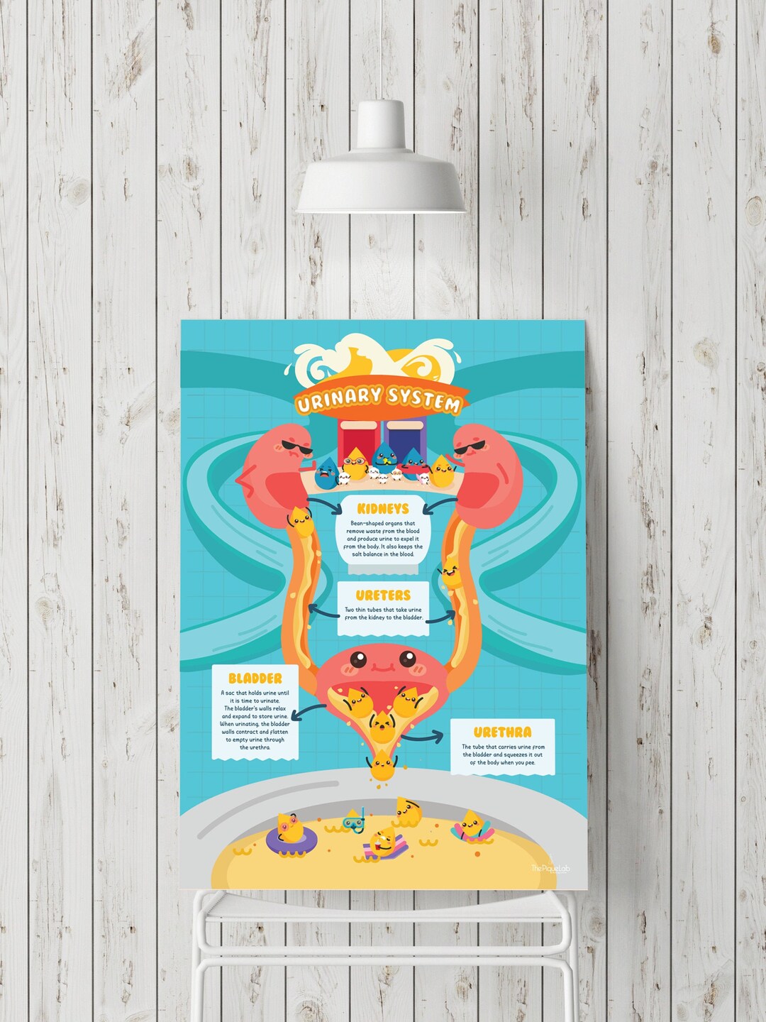 Urinary System Classroom Science Poster Art Print: the Wild Ride (good ...