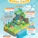 Water Cycle Classroom Science Poster Art Print: From Top to Bottom ...