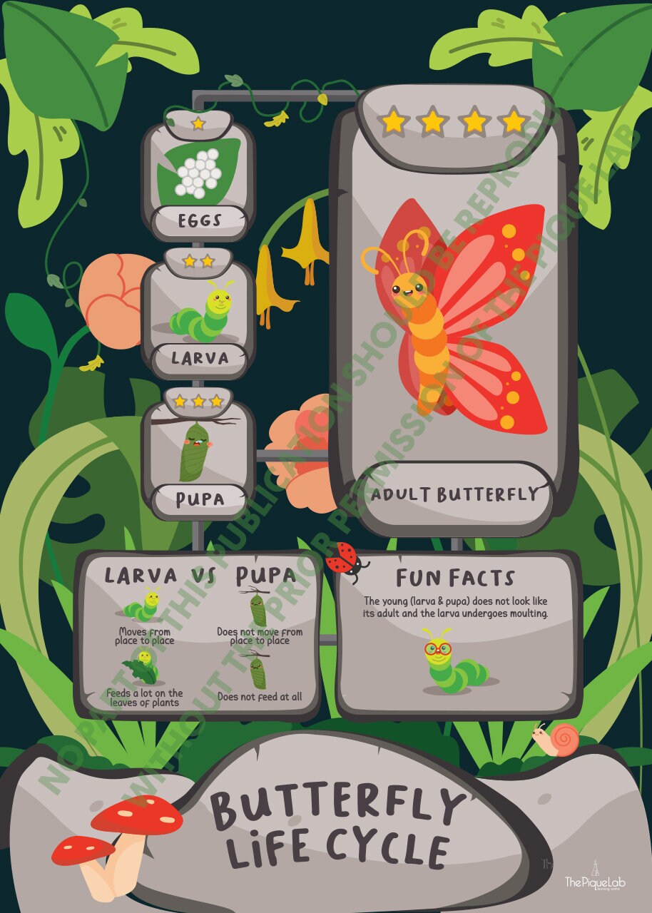 Lifecycle of a Butterfly Classroom Science Poster Print: It’s Level up ...