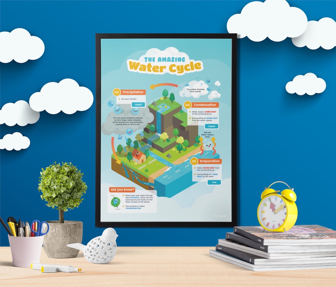 Water Cycle Classroom Science Poster Art Print: From Top to Bottom ...