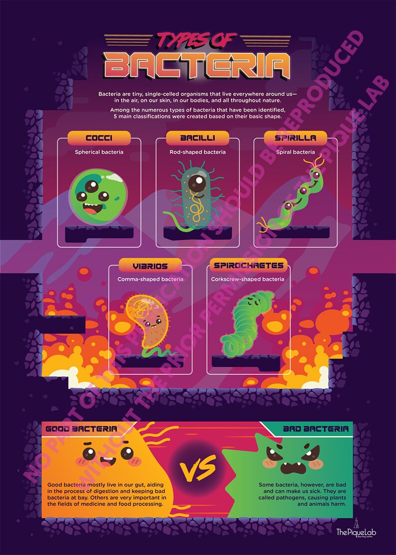Types of Bacteria Classroom Science Poster Art Print: the Battle of ...