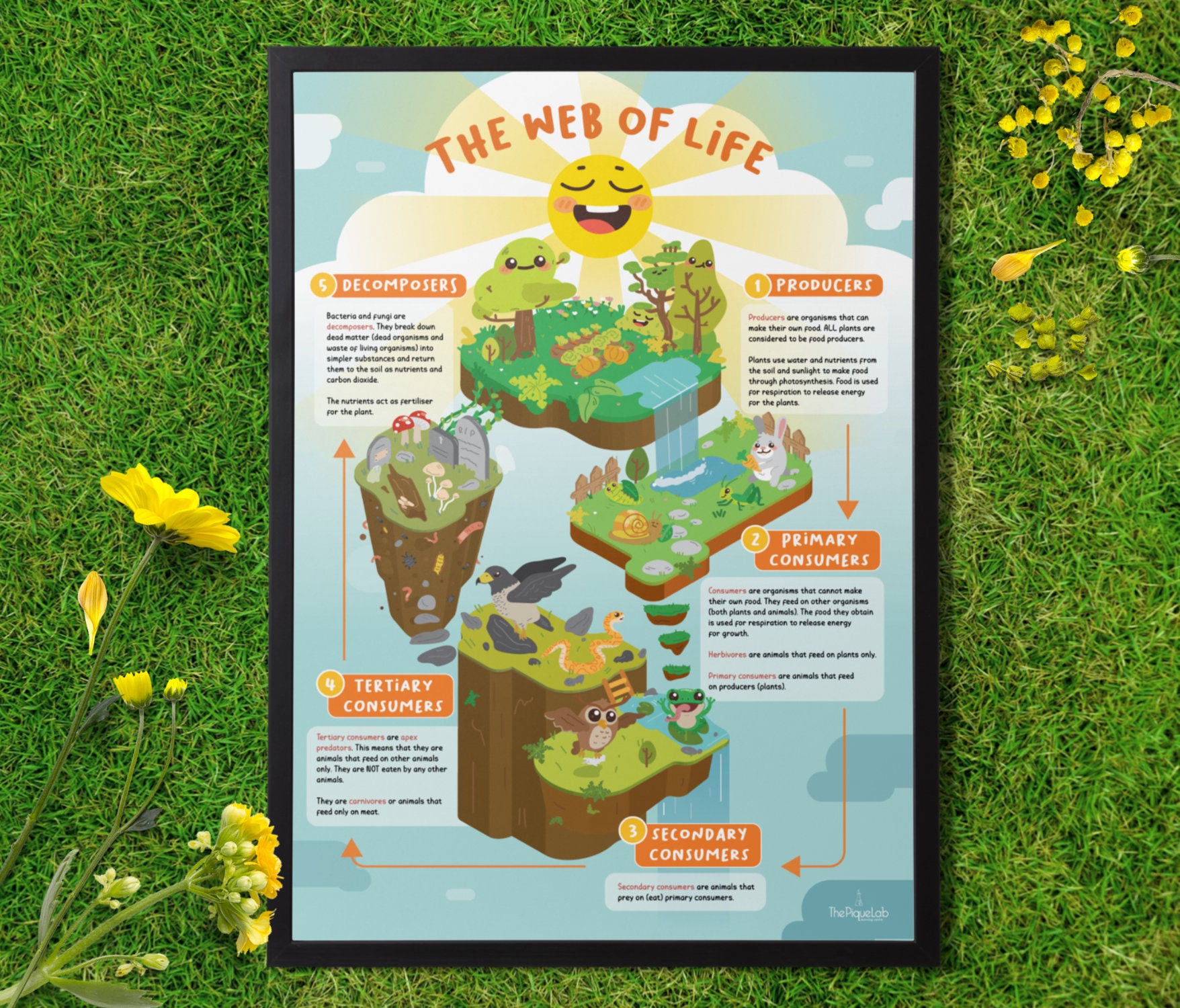 Web of Life Classroom Science Poster Art Print: an Adventure in Nature ...
