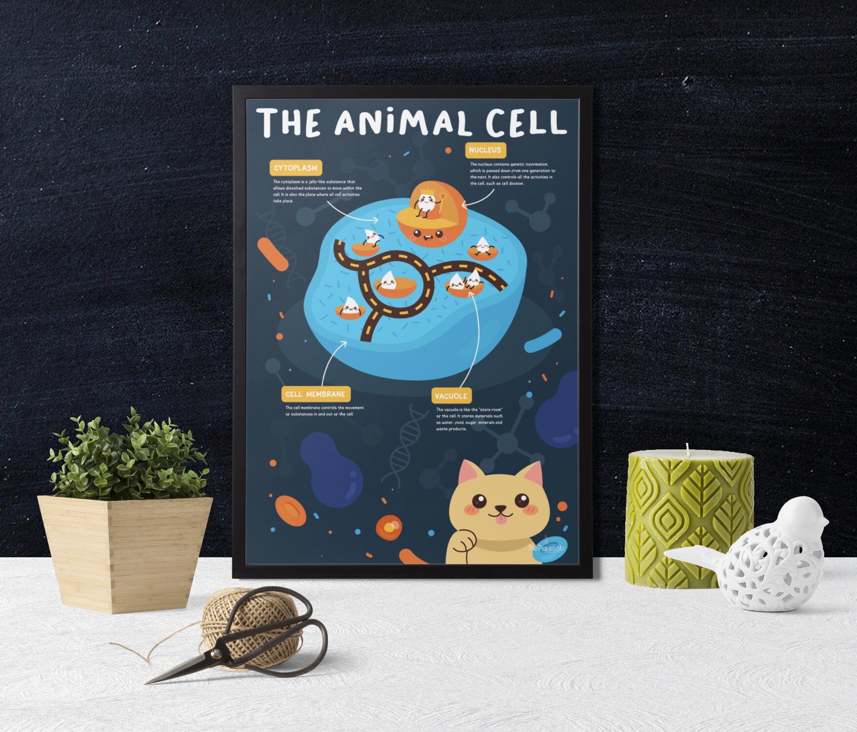 Animal Cell Classroom Science Poster Print: A Closer Look (good for ...