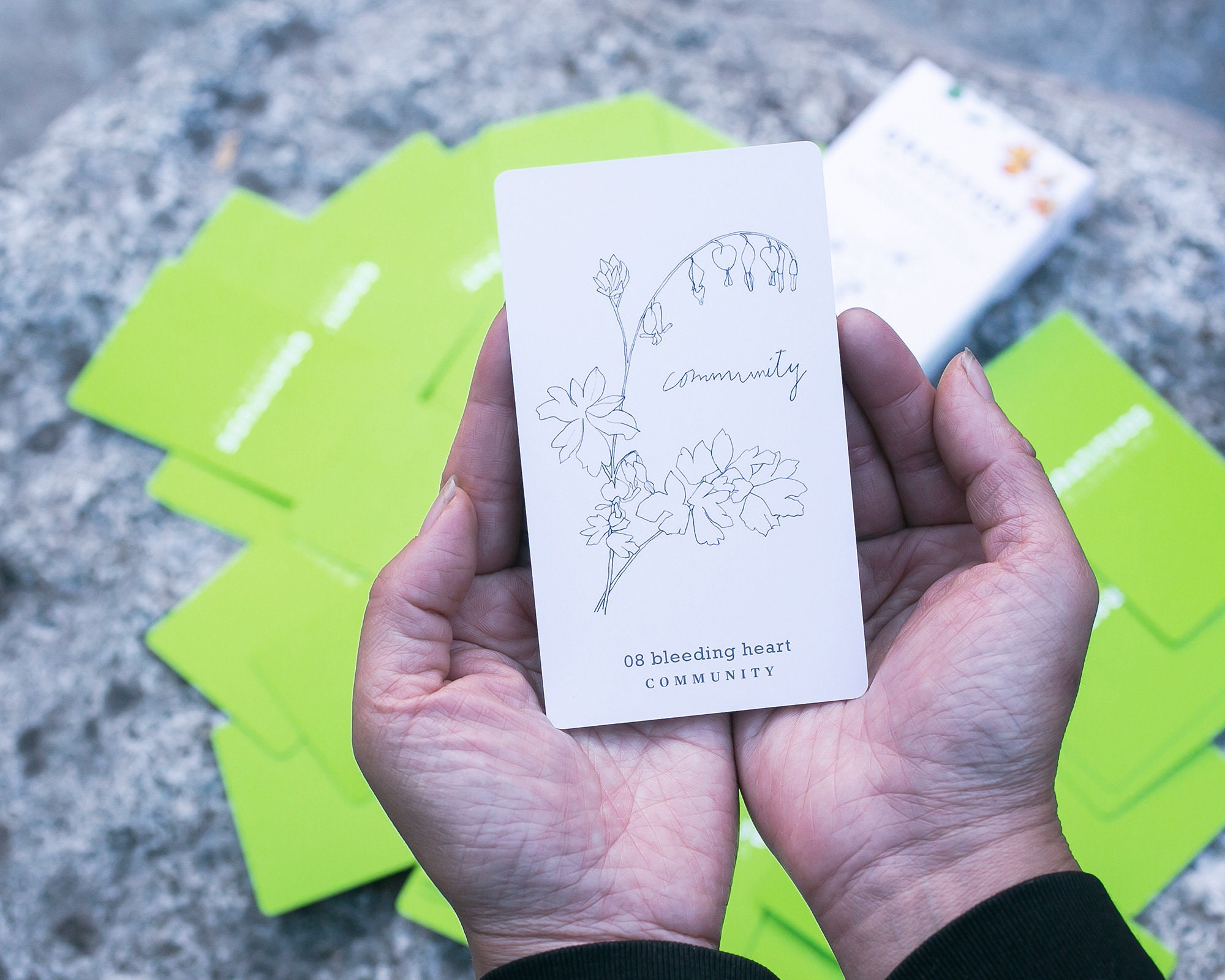 Gratitude Blooming Card Deck - Etsy