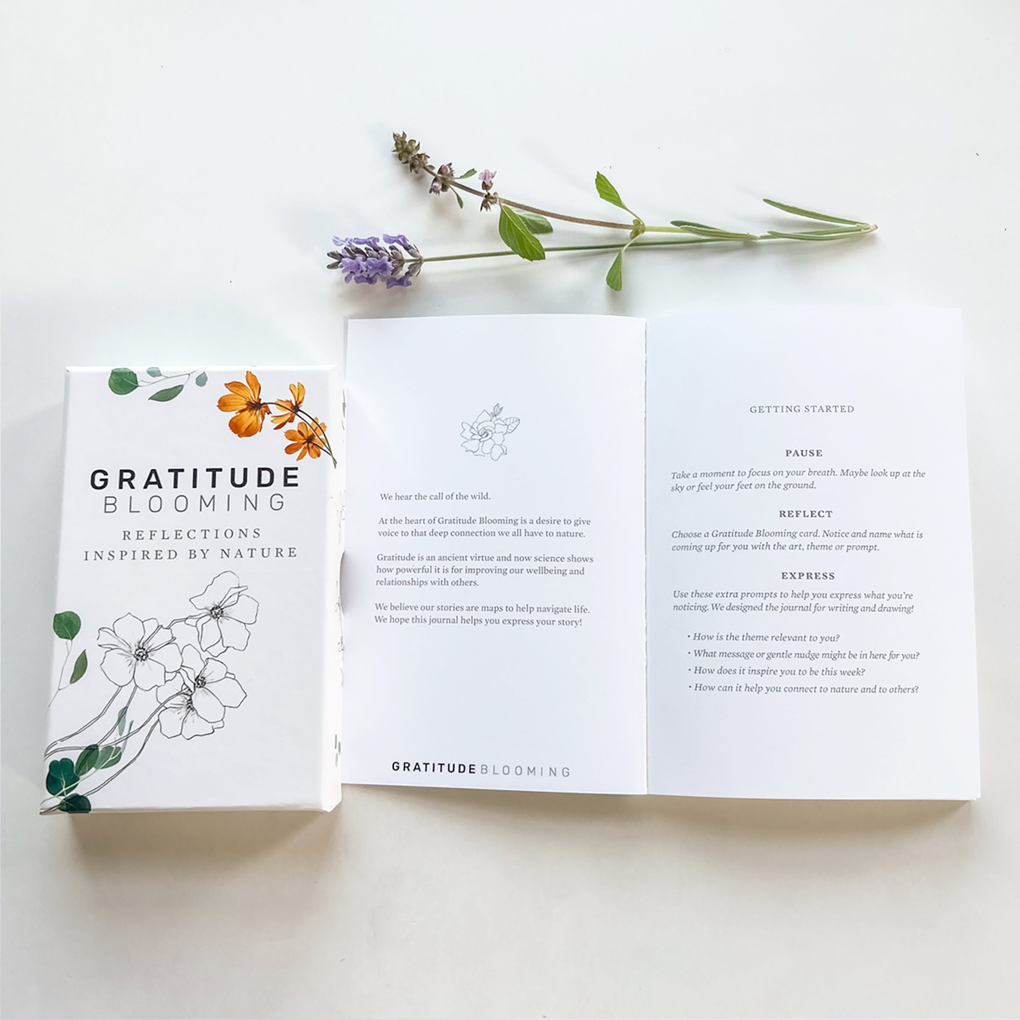 Gratitude Gift Set: Reflection Card Deck, Journal & Wood Holder - Etsy
