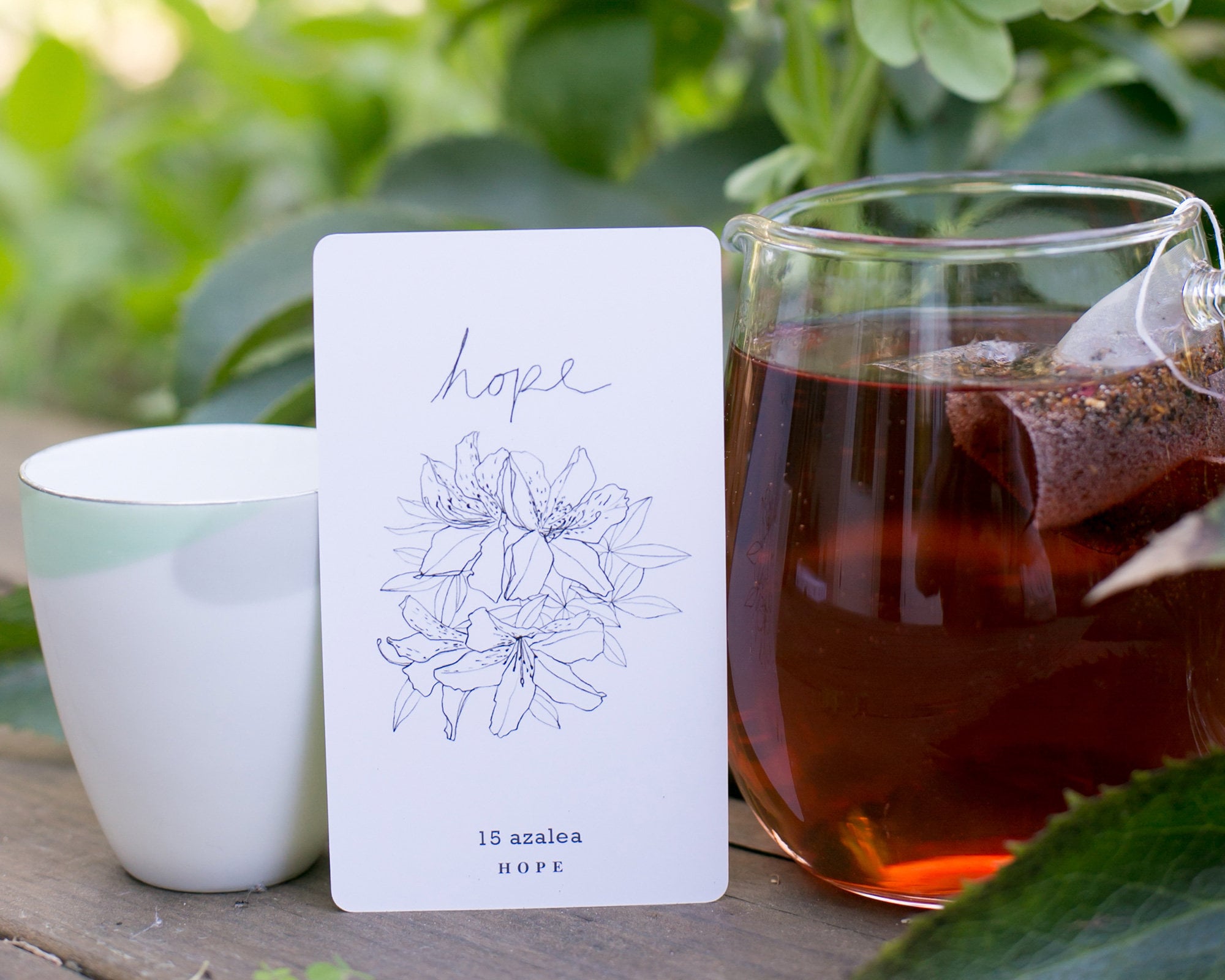 Gratitude Blooming Card Deck - Etsy