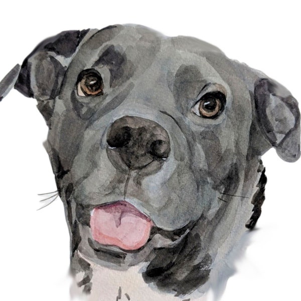 Custom Dog Art - Etsy