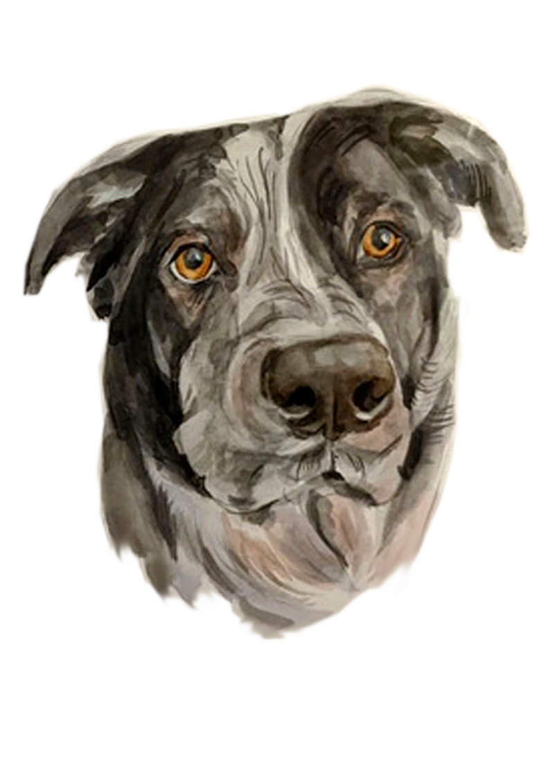 Two Pet Portrait Mulitple Dog Portrait 2 Dogs Art Framed - Etsy