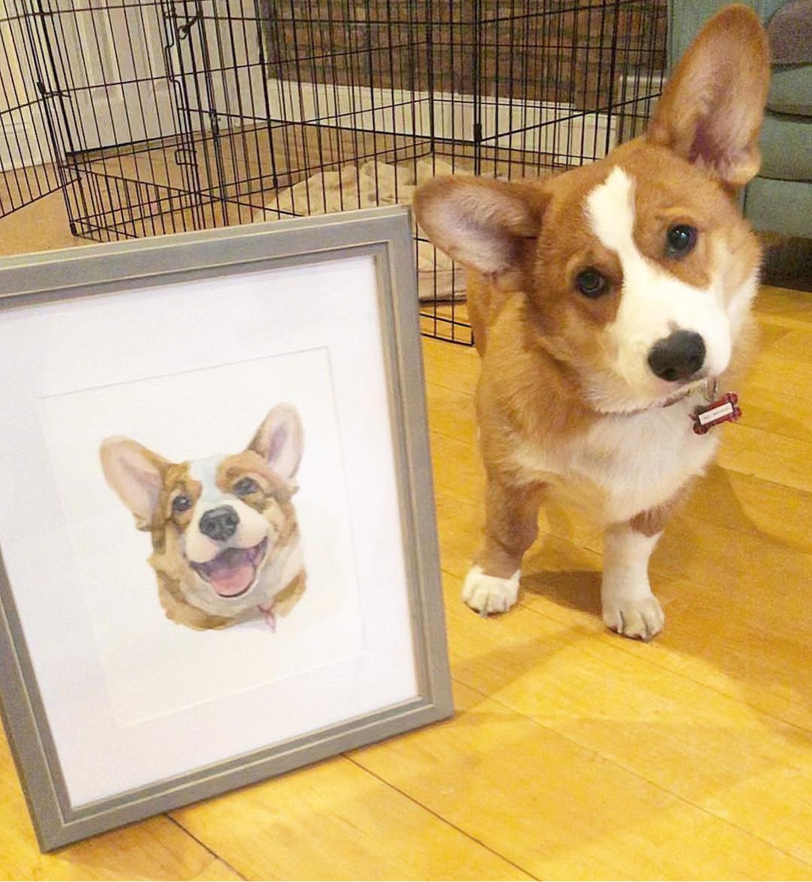 Custom Corgi Art Dog Portrait Pet Portraits Dog Mom Cute | Etsy