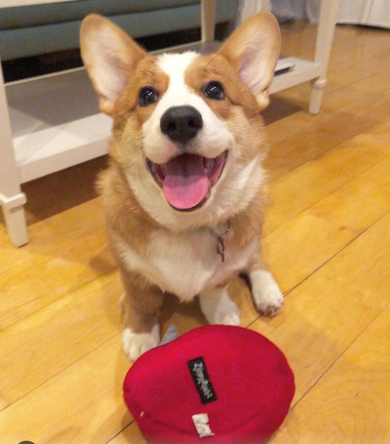 Custom Corgi Art Dog Portrait Pet Portraits Dog Mom Cute | Etsy