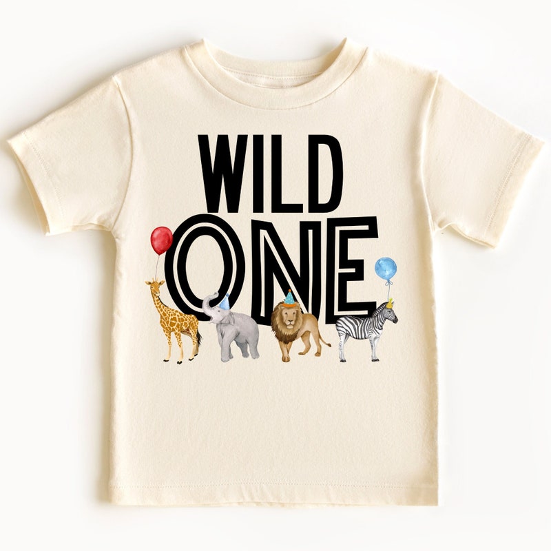 One Birthday Shirt - Etsy