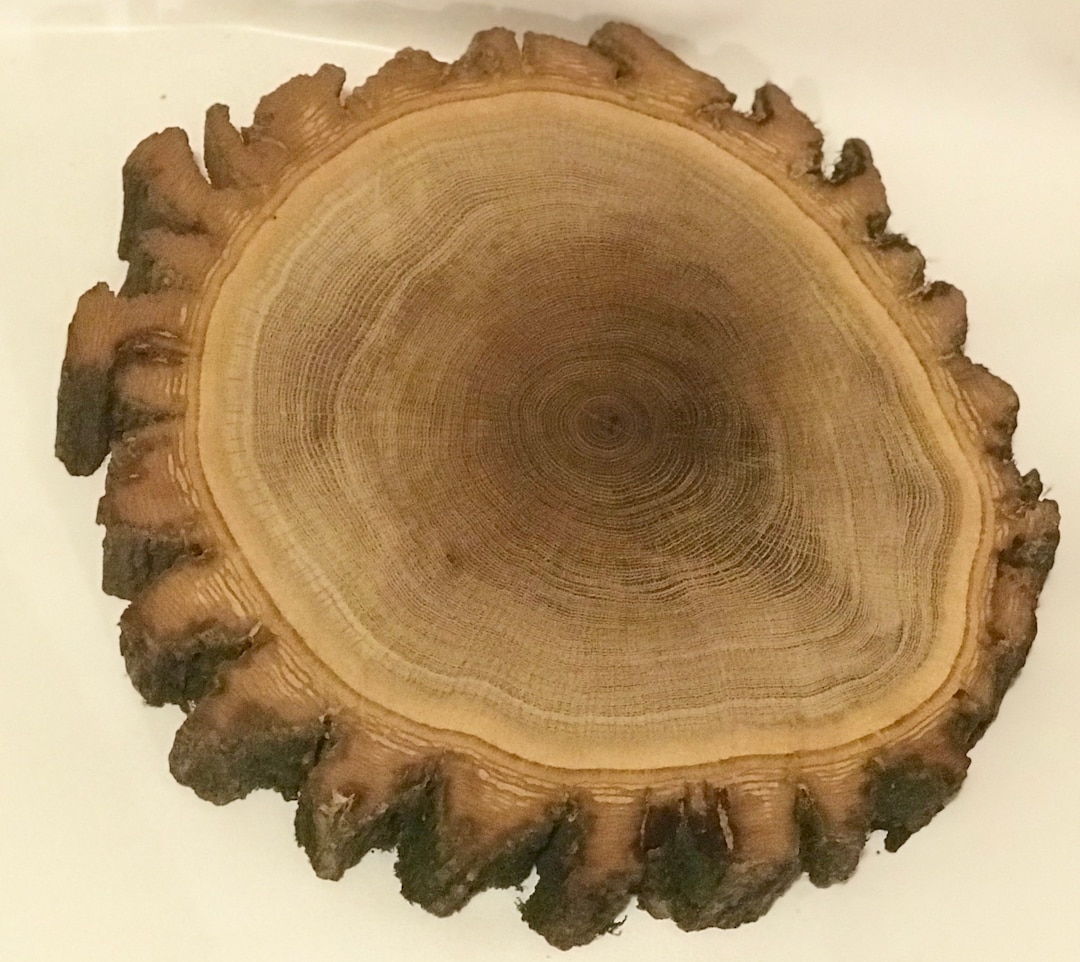 White Oak Wood Round, Wedding Center Piece Cake Stand - Etsy