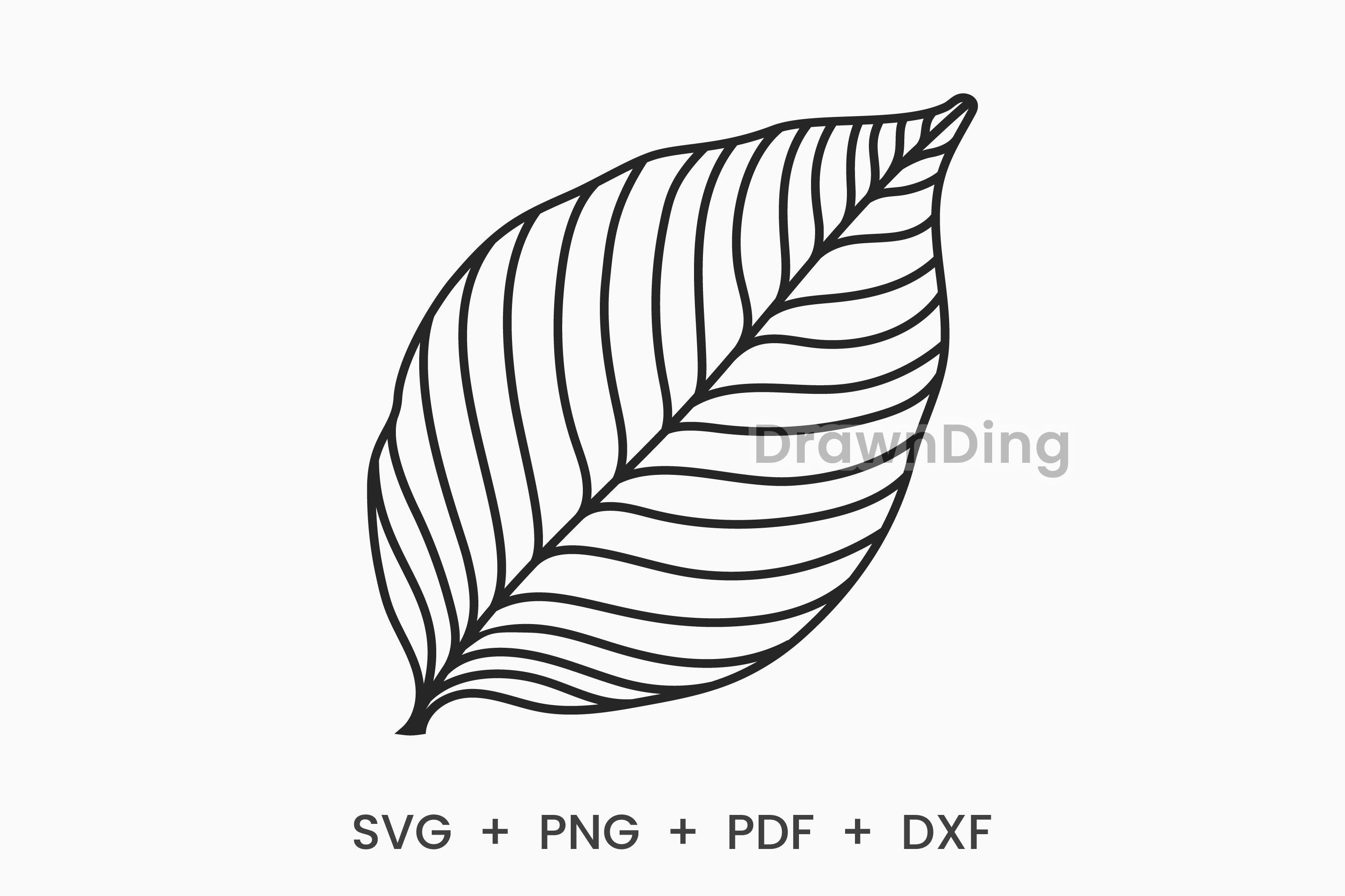 Leaf Svg, Leaf Digital Download Svg Cut File, Leaf Cricut, Leaf ...