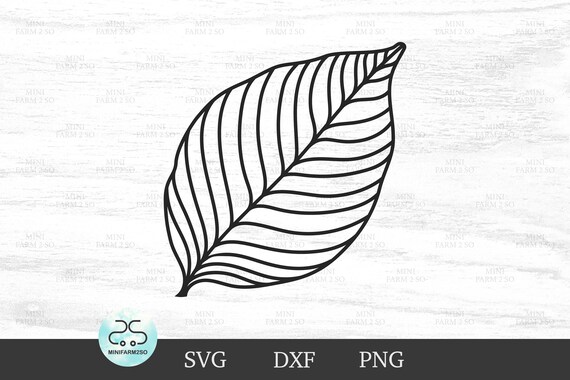 Leaf Svg Leaf Digital Download Svg Cut File Leaf Cricut - Etsy