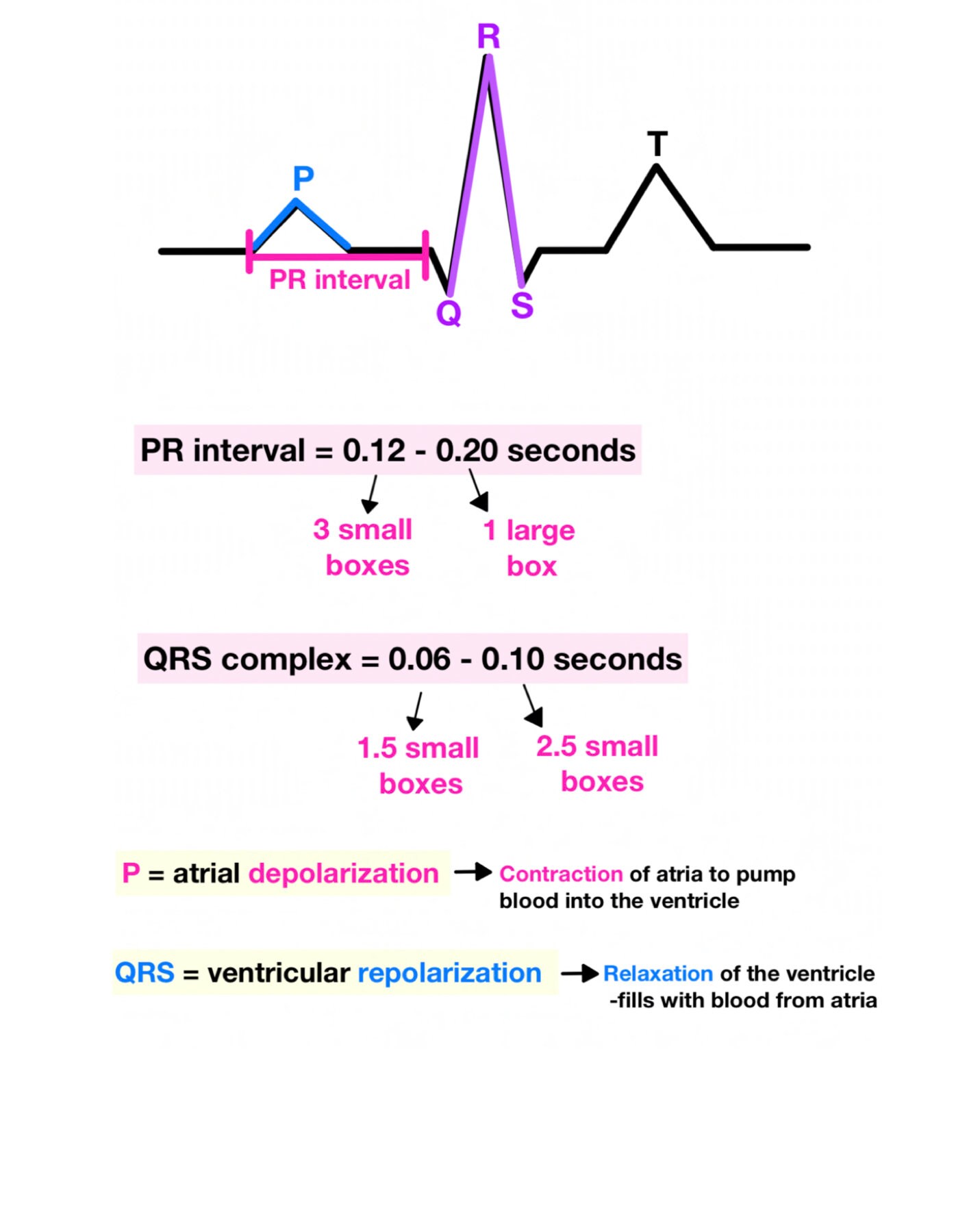 Ekg Study Guide Ekg Interpretation Ecg Rhythms Nursing - Etsy