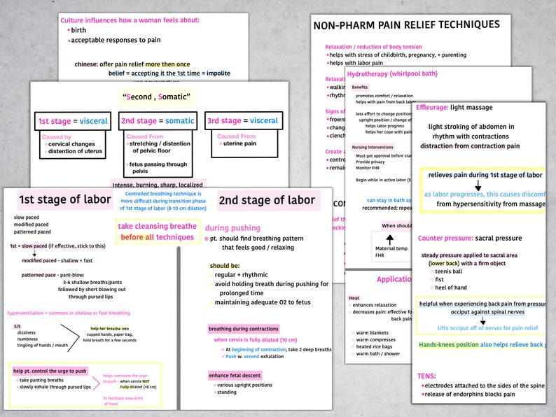Ob Maternity Nursing Study Guide BUNDLE, Labor and Delivery Nursing ...
