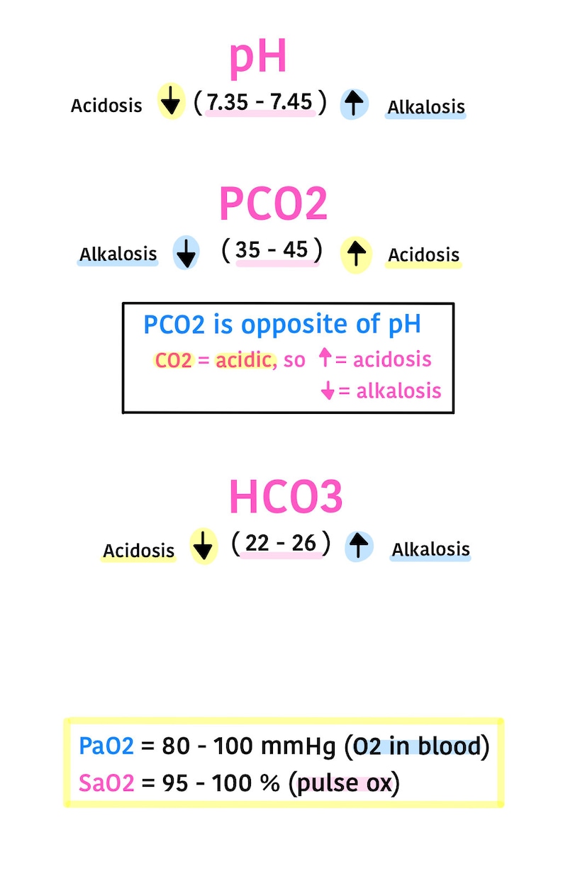 Fluids and Electrolytes, Electrolyte Imbalance, Nursing Study Guide - Etsy