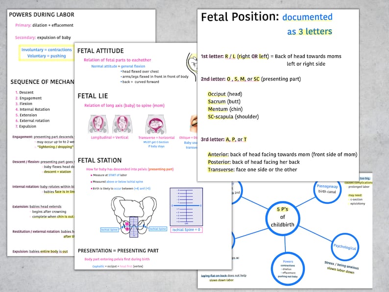 Ob Maternity Nursing Study Guide BUNDLE, Labor and Delivery Nursing ...