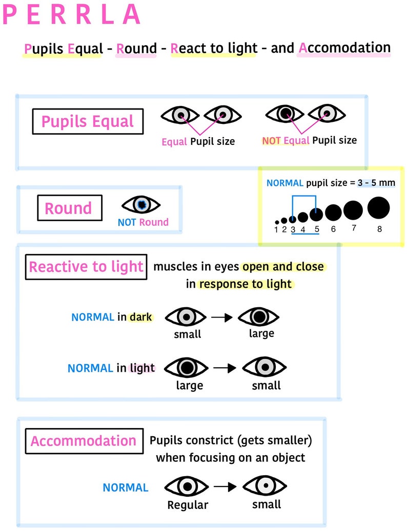 Head-to-toe Study Guide, Physical Assessment, Nursing Assessment, Nurse ...