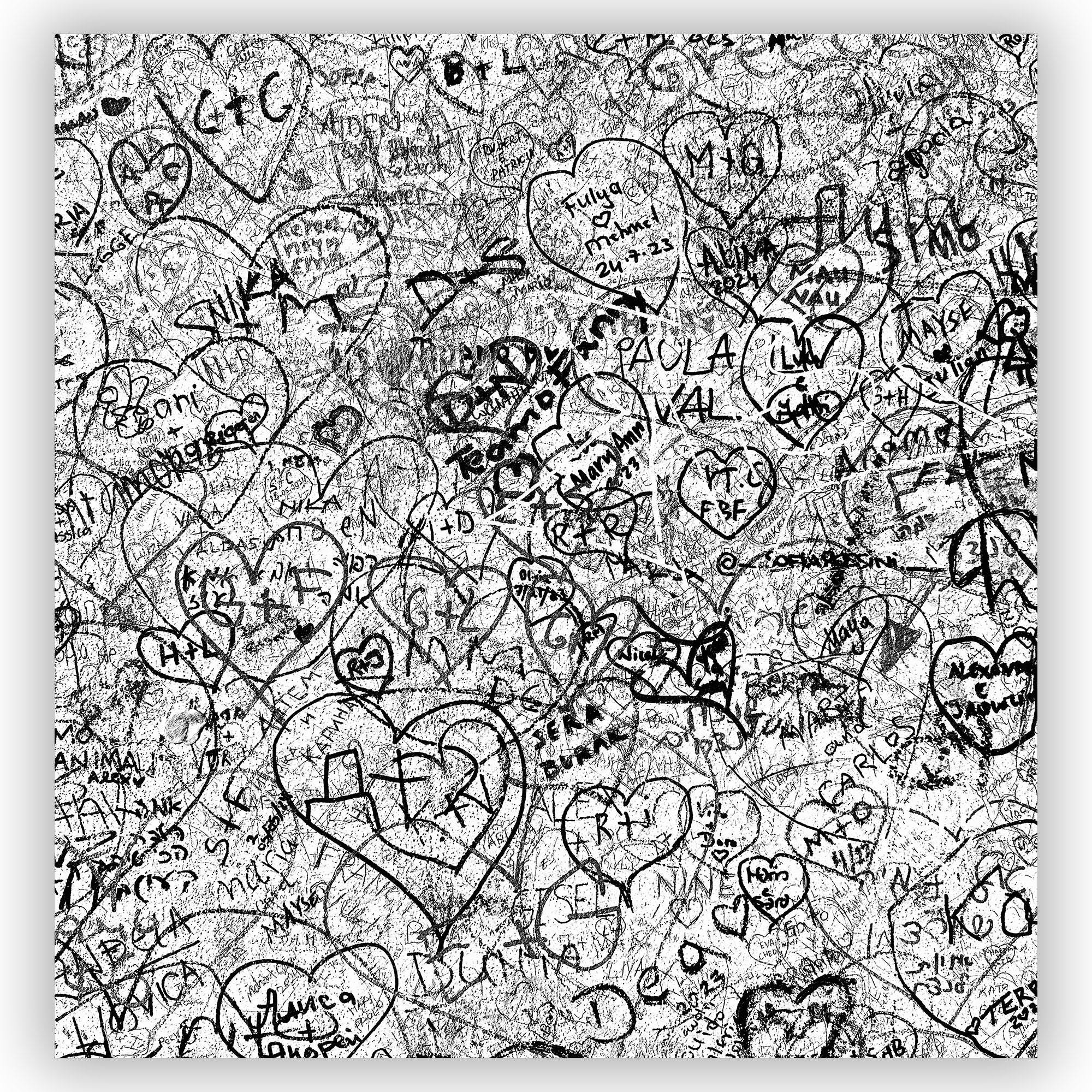 Lovers' Graffiti Fun / Emo Urban Design Shower Curtain - Black & White ...