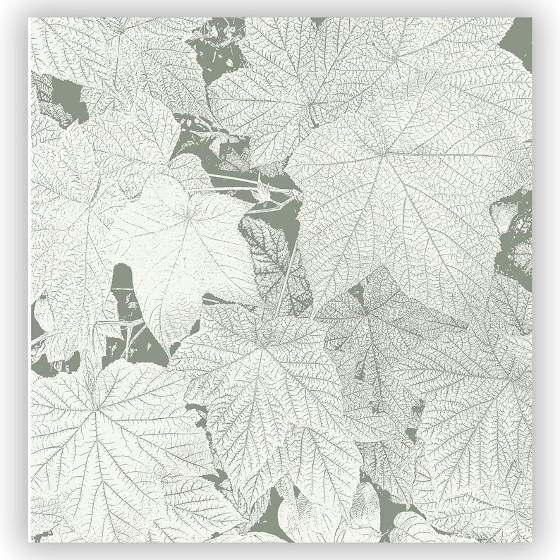 Sage Green Leaf Pattern Shower Curtain Canadian Raspberry - Etsy